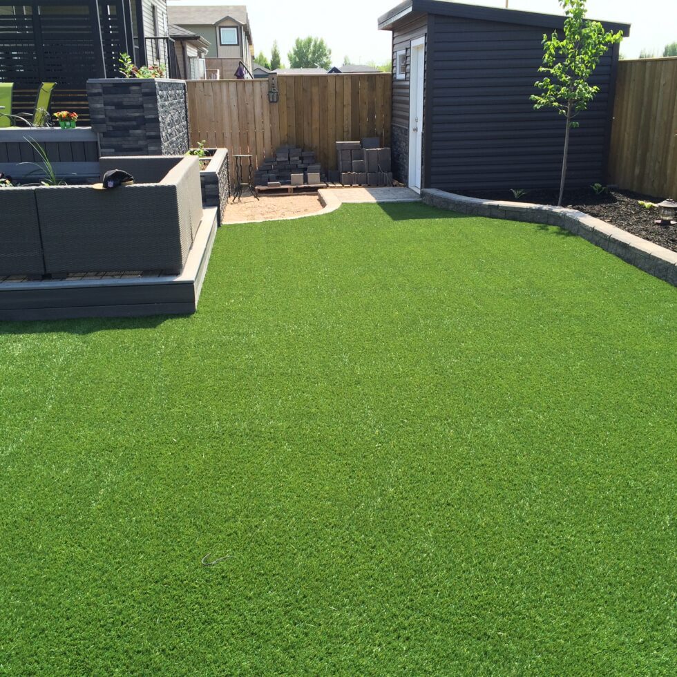 Turf Doctor - Turf Doctor